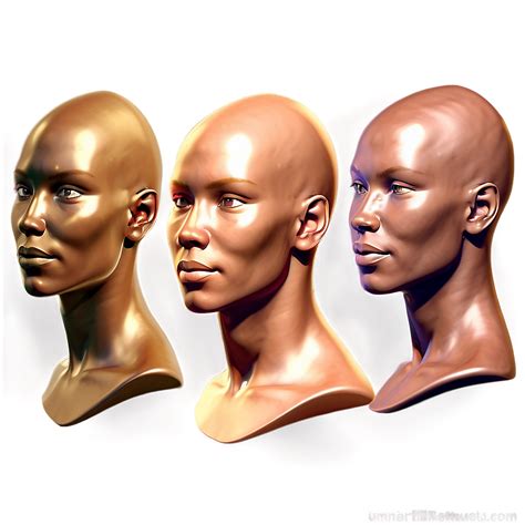 Download Human Head Reference For Artists Png 7