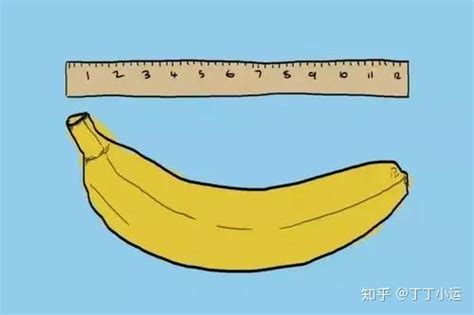 丁丁勃起时长度 cm算正常吗 知乎