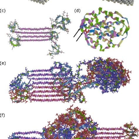 Illustration Of Surfaces And Silk Protein Building Blocks Used Within
