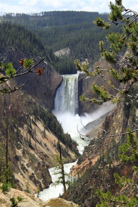 Yellowstone Upper Falls