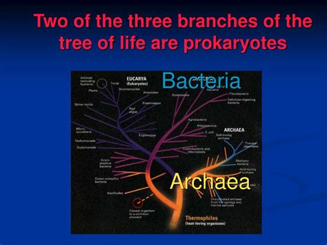 Ppt Space Weather Origin Of Life In The Solar System Powerpoint