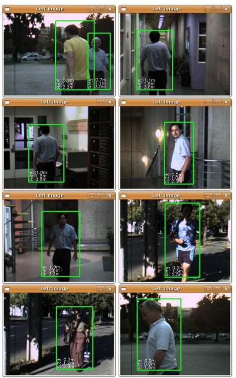 Detection Examples These Images Show Different Detections
