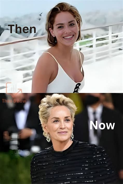 Sharon Stone Then And Now Sharon Stone Sharon Stone Now Hollywood Actresses