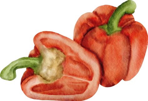 Bell Pepper Pngs For Free Download
