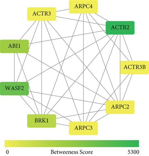 Ac Key Gene Modules Predicted By Mcode The Top 3 Key Gene Clusters