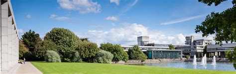 Strategy Development Ucd Strategy