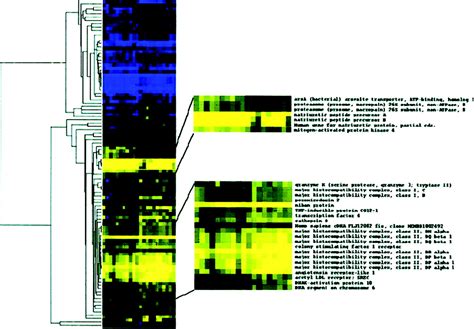 Genetics And Genomics Circulation