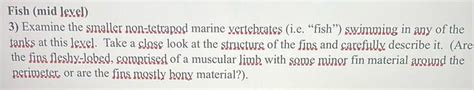 Answered Fish Mid Level 3 Examine The Smaller Non Tetrapod Marine