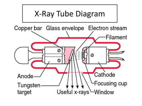 X Ray Tube Components And Function The Tube X Ray Tube Components And Function The Tube