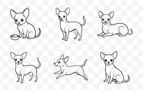 Print Detailed Chihuahua Line Art Set For Graphic Design And