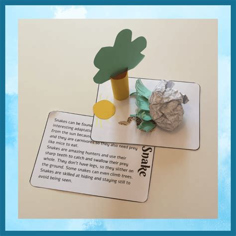 The Importance Of Working With Stem Bins Inbals Science Fun