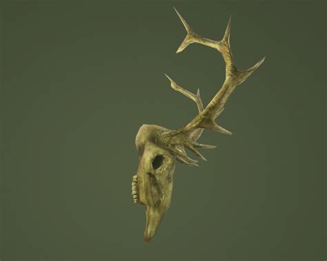 Asset Render 3d Model