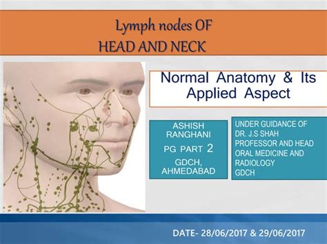 Swollen Occipital Lymph Node Back Of Head