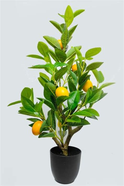 Dekoratyvinis Dirbtinis Augalas Lemon Tree 60cm Kare