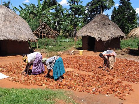 Inequality In Access To Basic Services Is A Major Problem In Sub