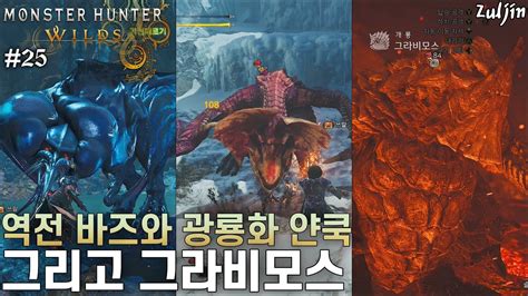 몬스터 헌터 와일즈 Qhd 25 서브퀘 아이다의 우려 이단아 같은 존재 관리 소홀 조심 연속으로😁 역전 푸푸로포루와 광룡화 얀쿡 그라비모스 사냥 Youtube