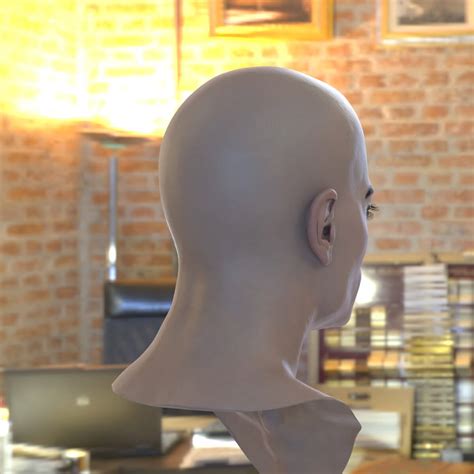 Michael Jackson Head 3d Model By Vefilanna