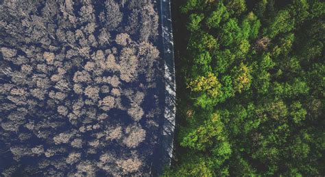 The 3ds Momentum Decarbonization Digitization And Decentralization Saroen Global