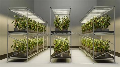 Indoor Farm Mushroom Racks Growing Shelves Growing System Hydroponic