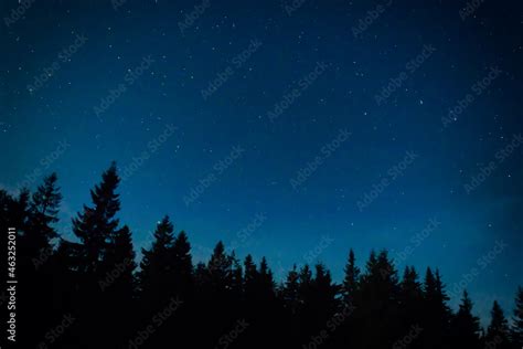 Night Forest With Pine Trees Dark Night Sky And Many Stars Night