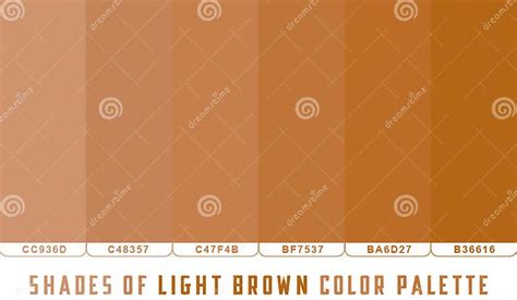Light Brown Tone Color Shade Background With Code And Name Illustration