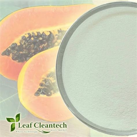 Papain Food Enzyme At ₹ 3200kg Papain In Bengaluru Id 22540718448