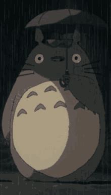  Del Pequeño Totoro