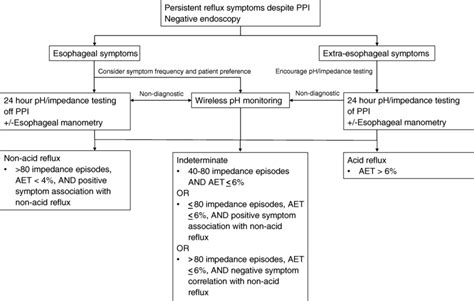 Proposed Diagnostic Algorithm For Non Acid Reflux Ppi Proton Pump