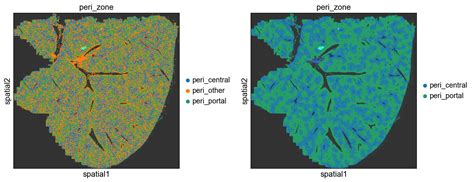 Data Preparation Tutorial Liver Vizgen — Spatial Live 100 Documentation