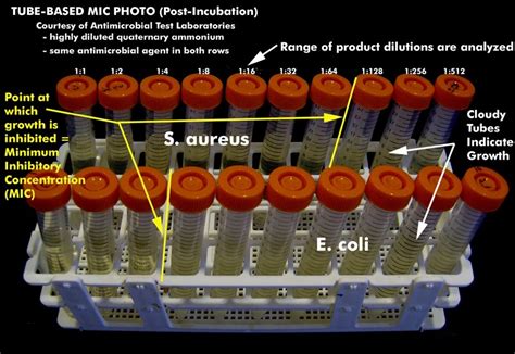 Kami Ube Pediatric Clinic Minimum Inhibitory Concentration Mic Test