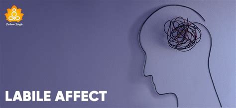 Labile Affect Signs Causes Coping And More