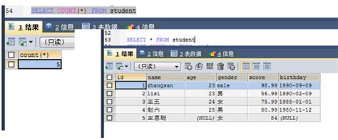 Sql语言基础与实践 Csdn博客