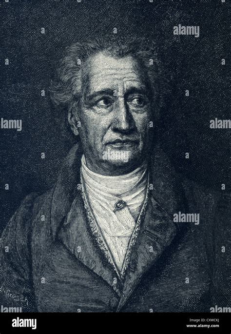 Johann Wolfgang Von Goethe 1749 1832 German Poet High Resolution Stock