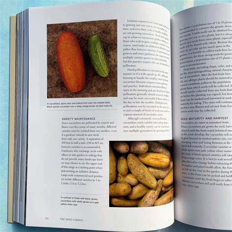 The Seed Garden The Art And Practice Of Seed Saving Hudson Valley