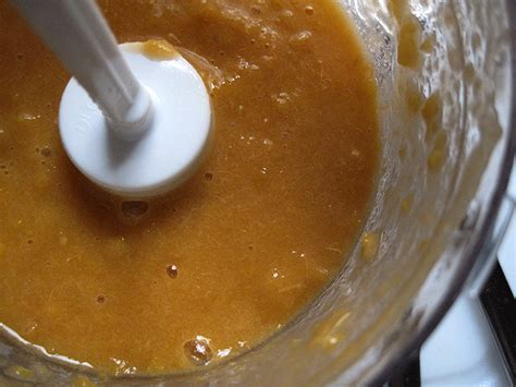 Apricot Raspberry Lambic Sorbet