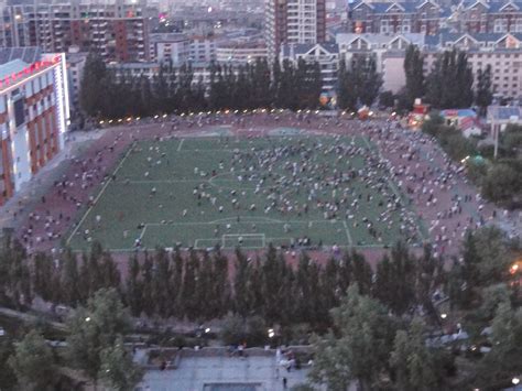 Katie In A Field Lin Xia China