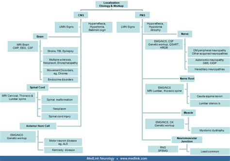 Sexual Dysfunction In Neurologic Disorders Medlink Neurology