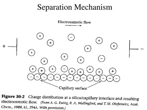 Ppt Capillary Electrophoresis Powerpoint Presentation Free Download