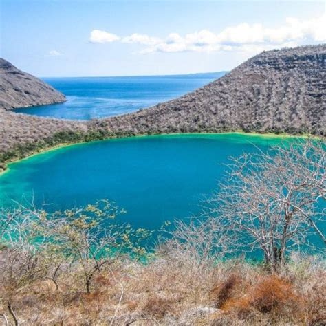 Hiking And Snorkeling At Tagus Cove Isabela Island