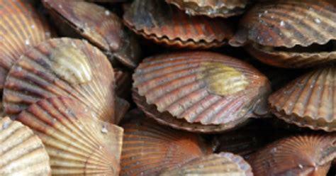 Clearwater Seafoods Completes Acquisition Of Macduff Shellfish Group