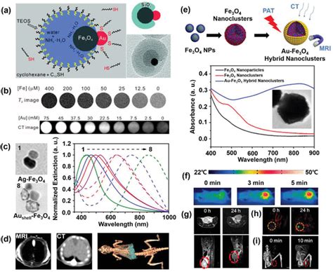 Magneticplasmonic Hybrid Nanostructures And Their Biomedical