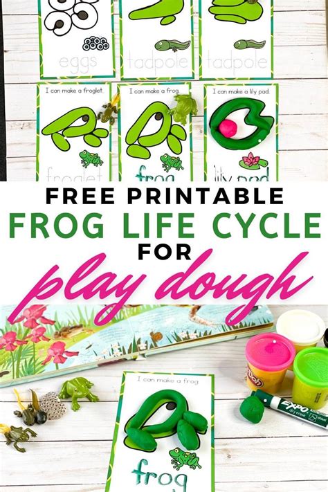 Free Printable Life Cycle Of A Frog Play Dough Mats