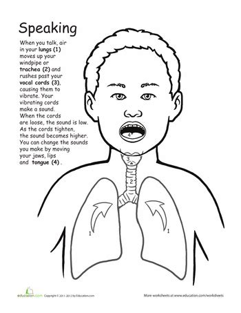 Its All About Human Anatomy Life Science Human Body Systems Human Body Unit