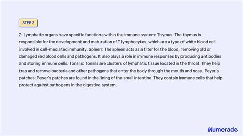 Solved 1 Function Of The Lymphatic System Lymphatic Vessels And