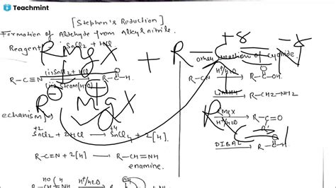 Stephen Reduction Youtube