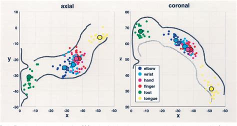 Figure 3 From Somatotopy Under Controlled Conditions Reproducibility Of