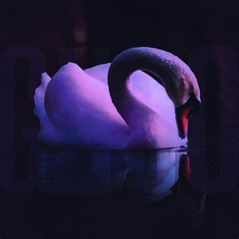 Stream Ehran Music Listen To Songs Albums Playlists For Free On