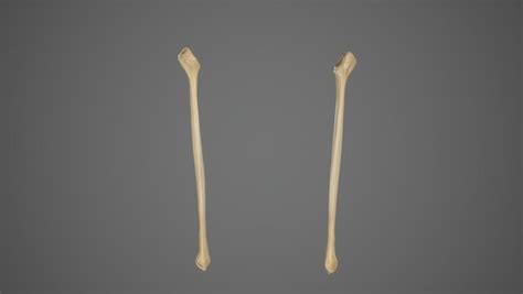 รูปภาพfibia เลือกดูภาพถ่ายสต็อก เวกเตอร์ และวิดีโอ14 769 Adobe Stock