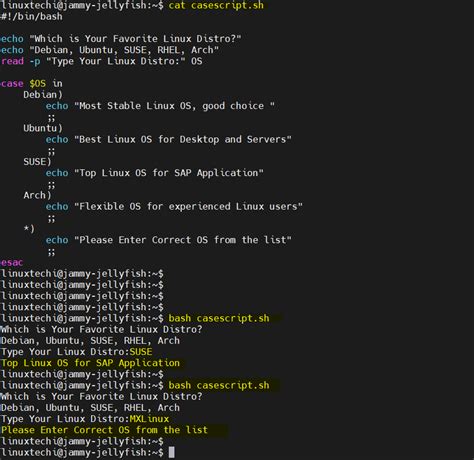 Case Examples Bash At Patrick Lauzon Blog Case Examples Bash At Patrick Lauzon Blog