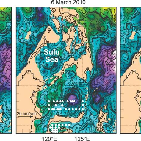 Plots Of Sea Surface Height Ssh In Cm And Current Velocity Arrows
